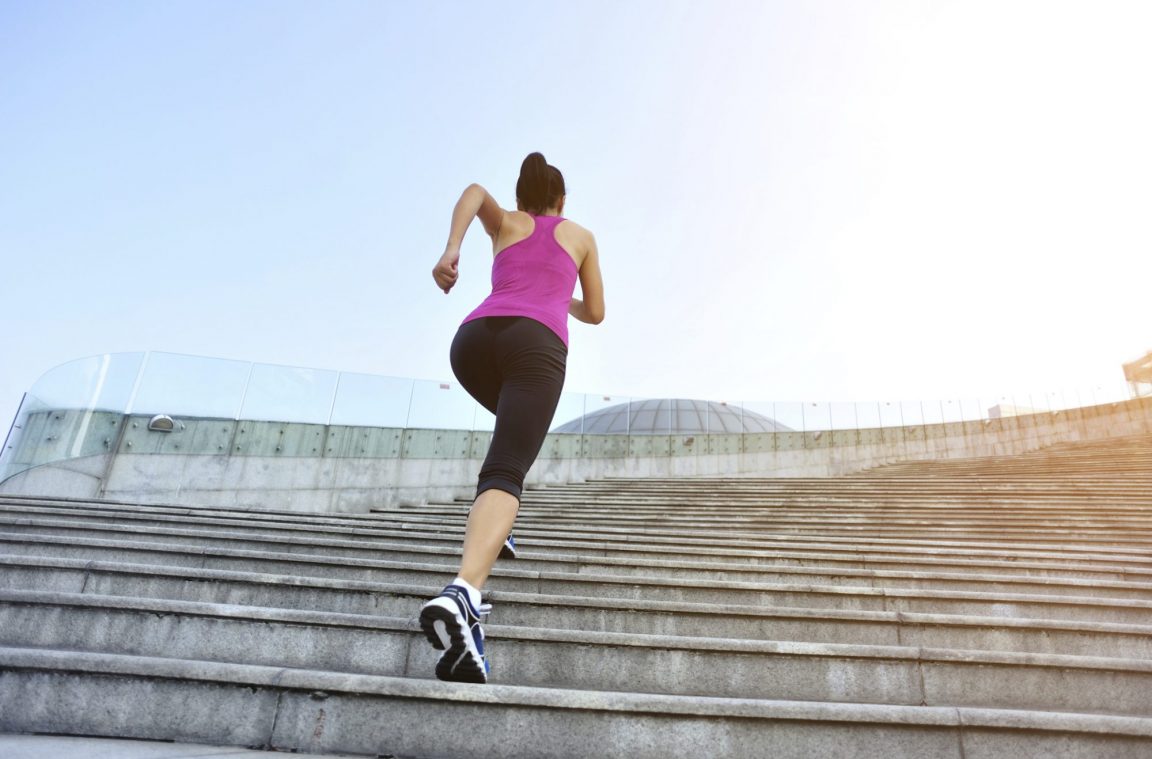 desarrollo de carrera archivos | HR Connect